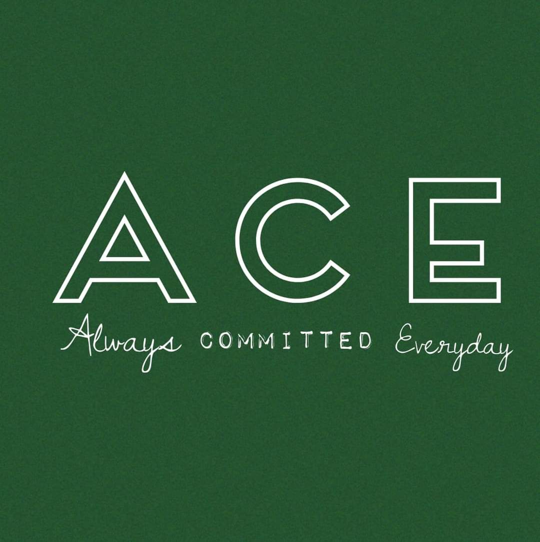 About – ACE Mindset Journey