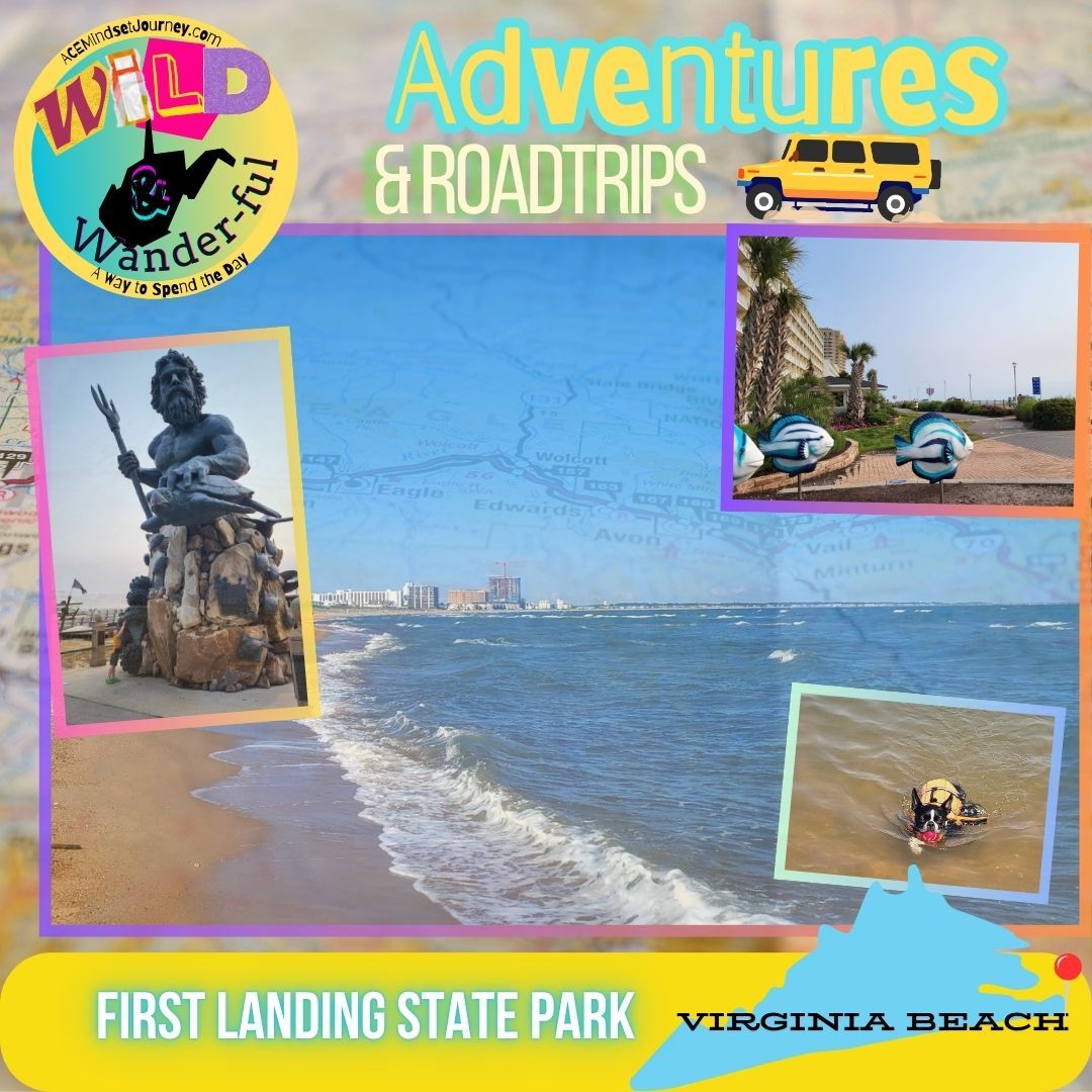 153 Things to do in Morgantown, WV – ACE Mindset Journey